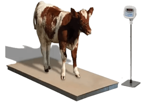 Labtech Scales – Labtech group